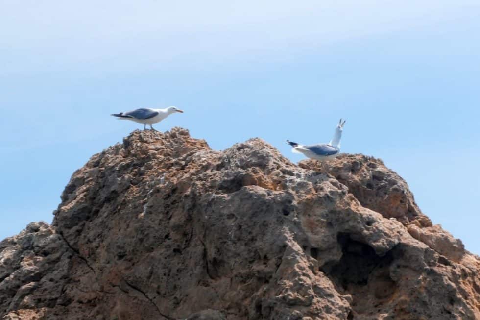 The Medes Islands: An underwater paradise in the Costa Brava
